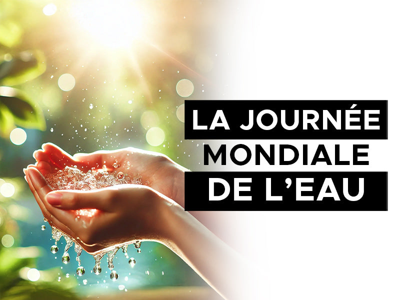 La Journée Mondiale de l’Eau | Ma Gourde